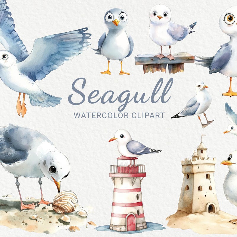 Baby Seagull Clipart - Etsy
