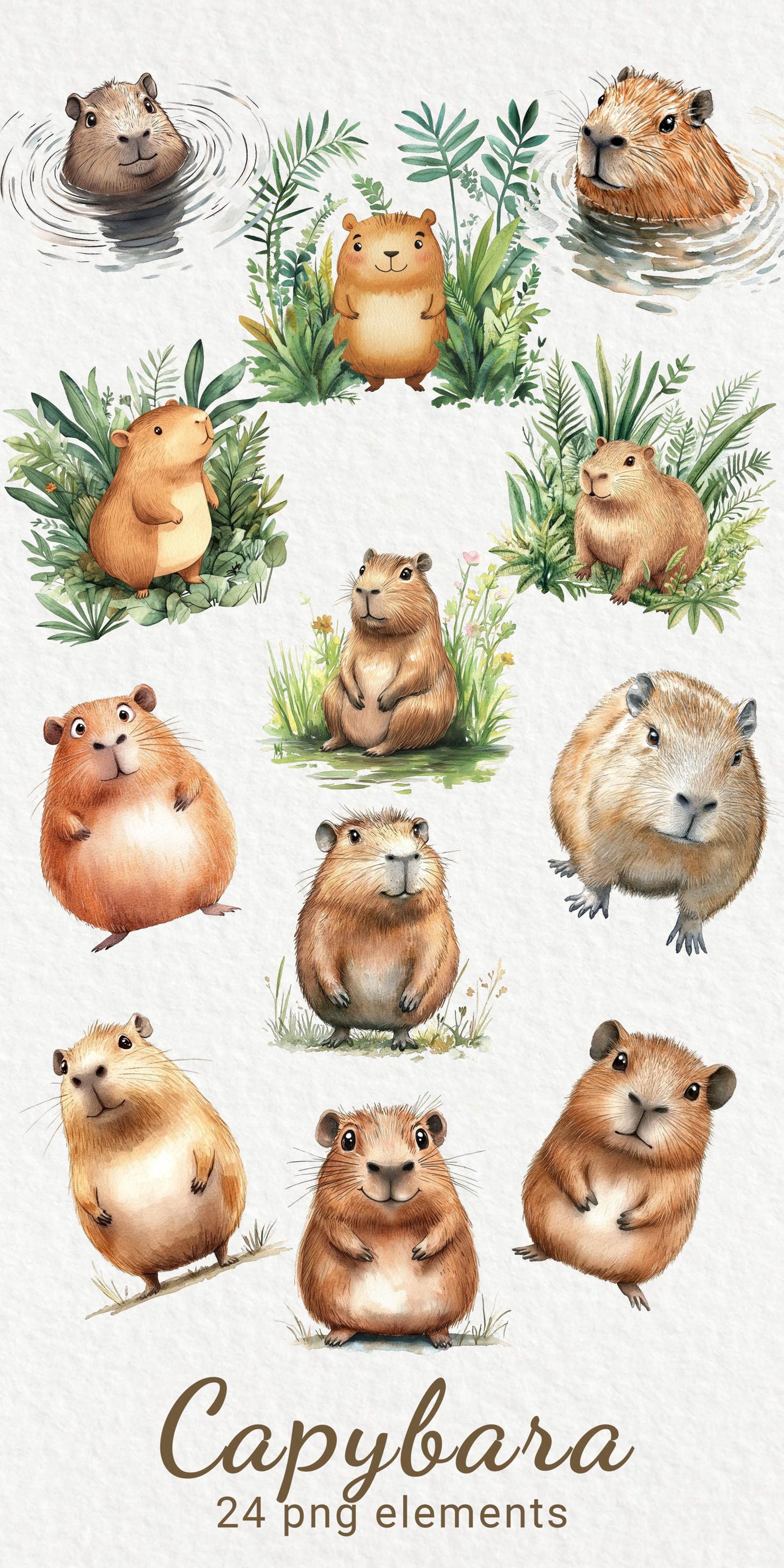 Capybara Watercolor Clipart - 24 PNG Cute Capybara Nursery Decor ...