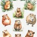 Capybara Watercolor Clipart - 24 PNG Cute Capybara Nursery Decor ...