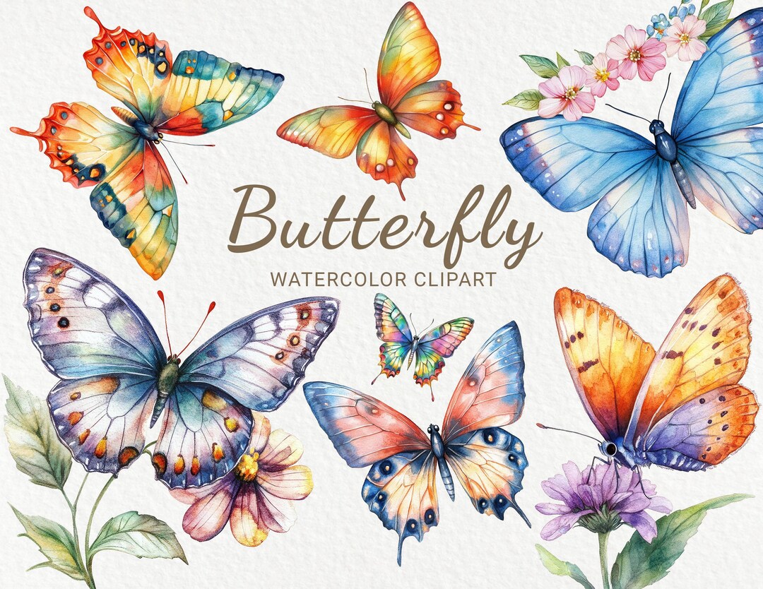 Butterfly Watercolor Clipart - 24 PNG Cute Insects Clip Art, Butterfly ...