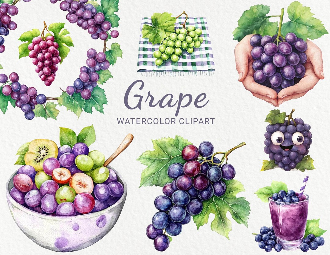 Grape Watercolor Clipart - 24 PNG Funny Grape Illustration, Cartoon ...