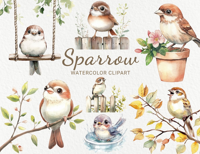 Sparrow Watercolor Clipart - 24 PNG Sparrow Clip Art, Cute Bird ...