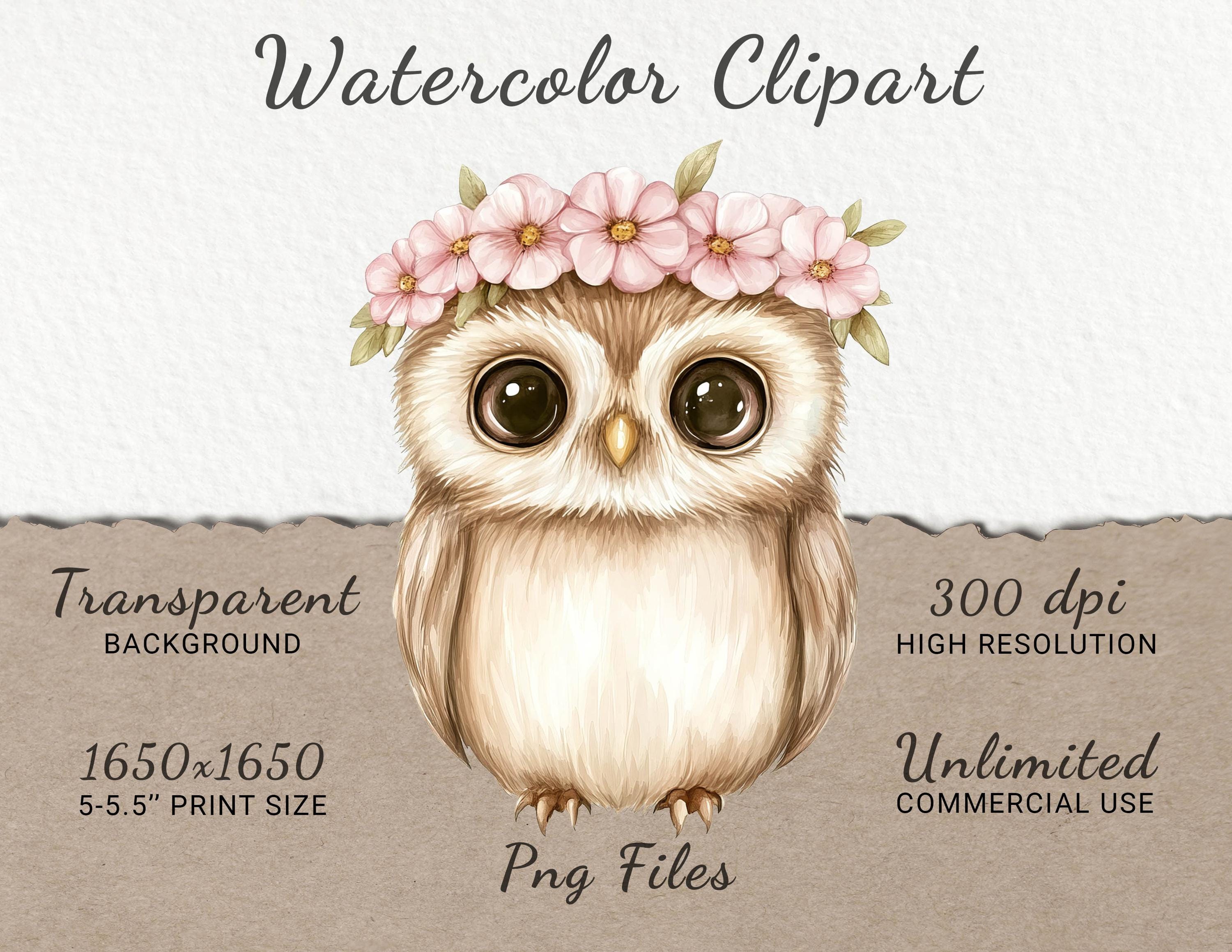 Pink Owl Nursery Watercolor Clipart - 24 PNG Cute Fairy Bird ...
