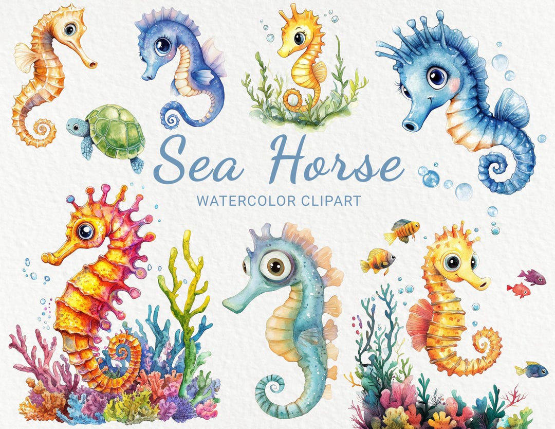 Seahorse Watercolor Clipart - 24 PNG Cute Sea Horse Clip Art, Marine ...