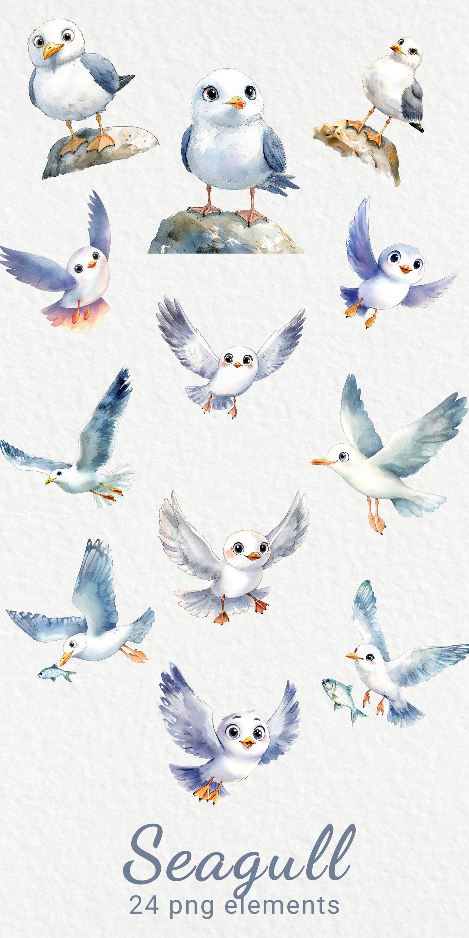 Seagull Watercolor Clipart - 24 PNG Seagull Clip Art, Sea Printable ...