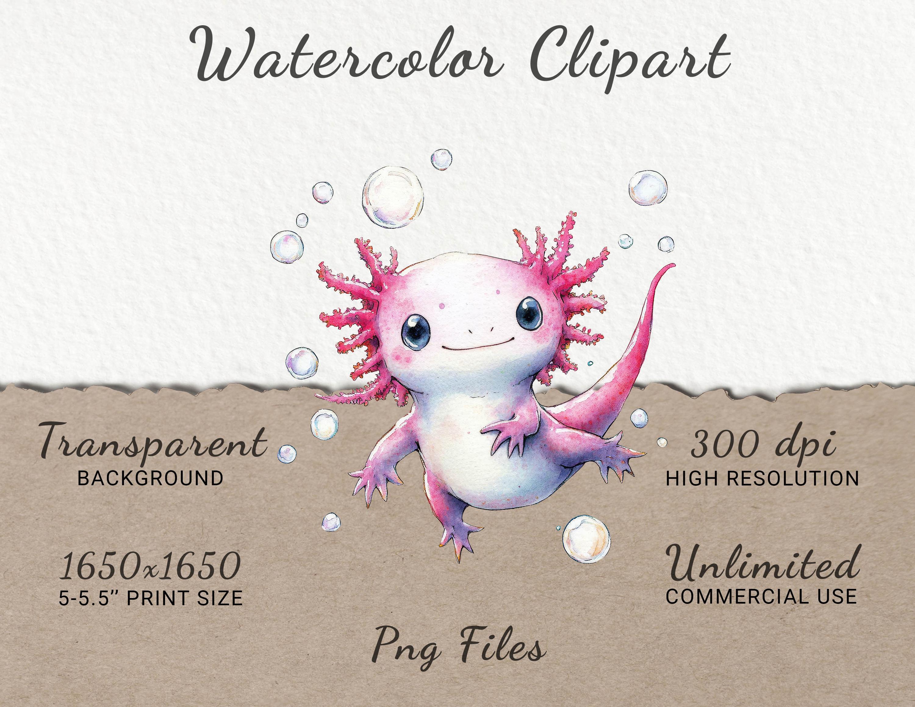 Axolotl Watercolor Clipart - 16 PNG Cute Axolotl Clip Art, Marine ...