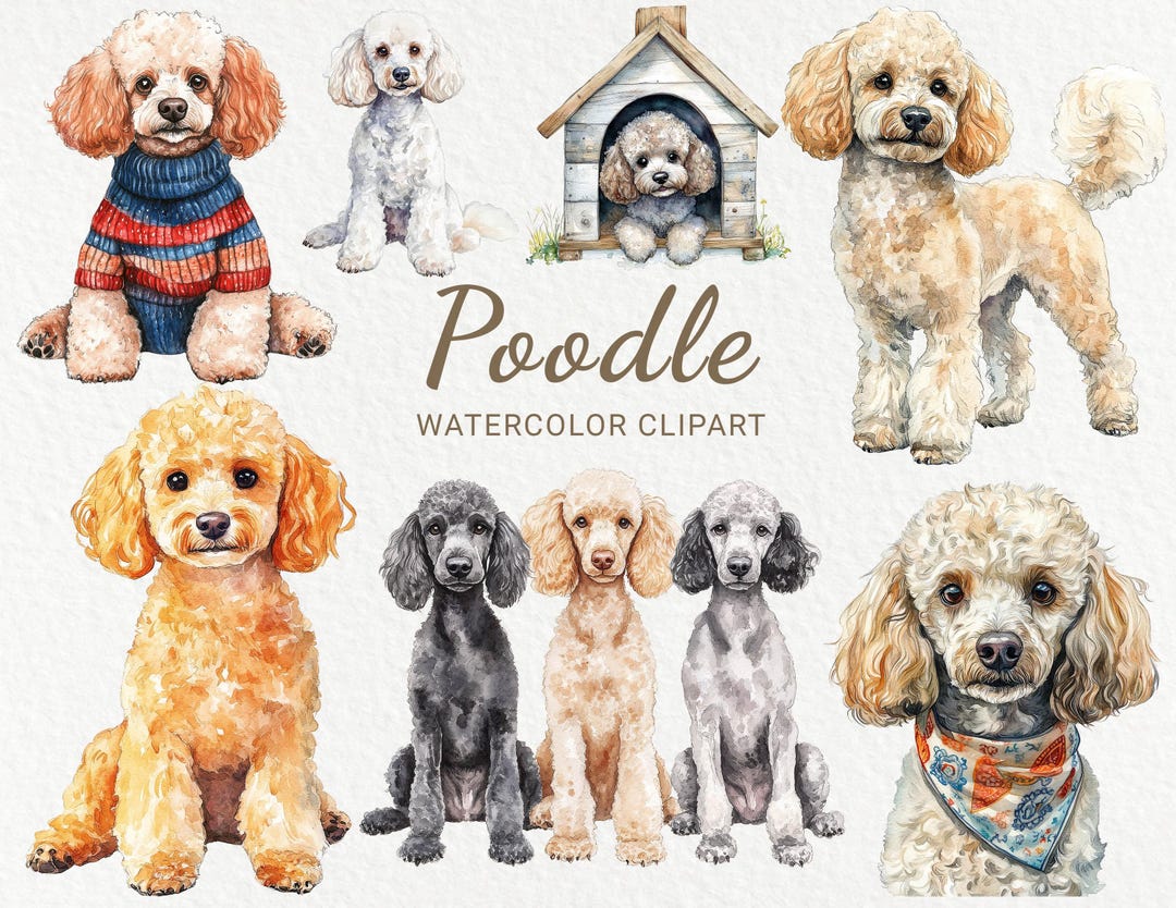 Poodle Watercolor Clipart - 24 PNG Cute Dog Clip Art, Dog Breeds Clip ...