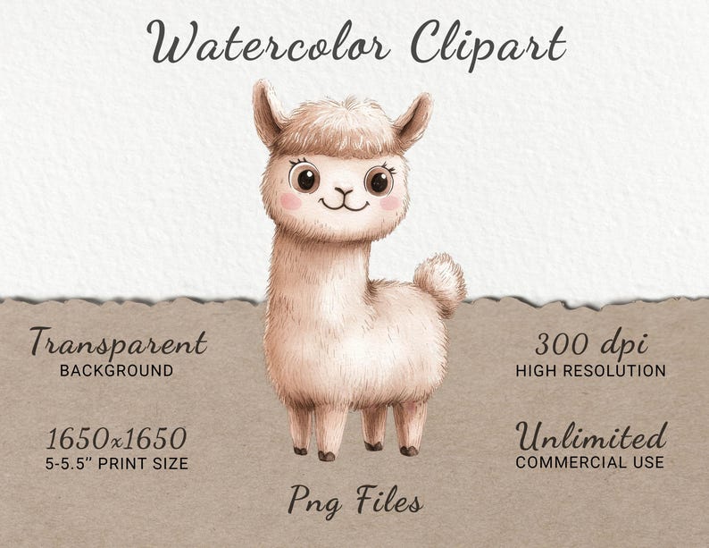 Watercolor Baby Alpaca Clipart – Farm Animal PNG Images (digital ...