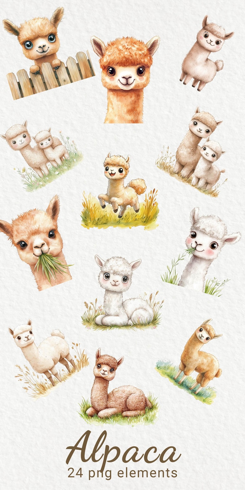 Alpaca Clipart - 24 PNG Watercolor Baby Alpaca Clip Art, Alpaca Head ...