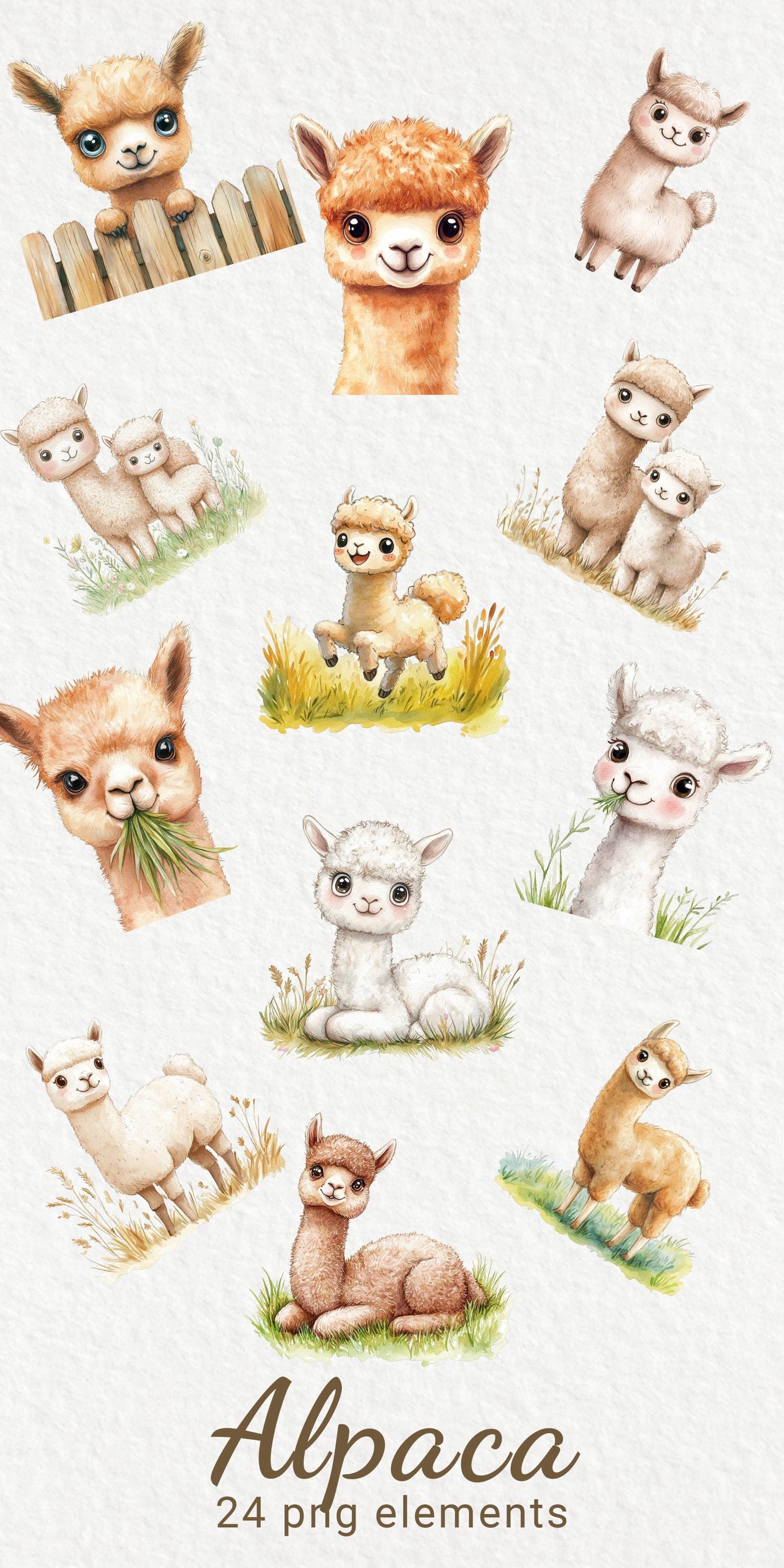 Watercolor Baby Alpaca Clipart – Farm Animal PNG Images (digital ...