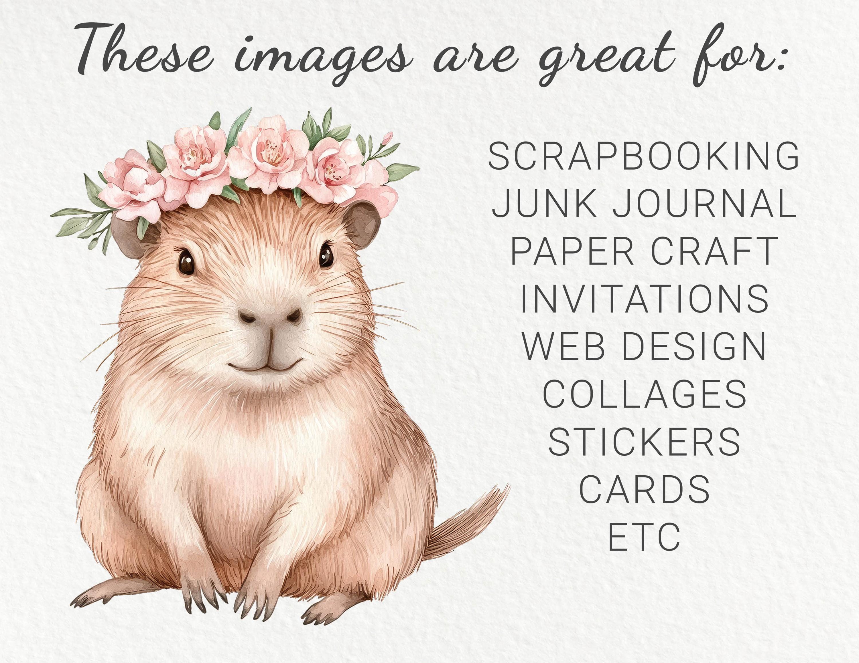 Pink Capybara Nursery Watercolor Clipart - 24 PNG Cute Capybara ...