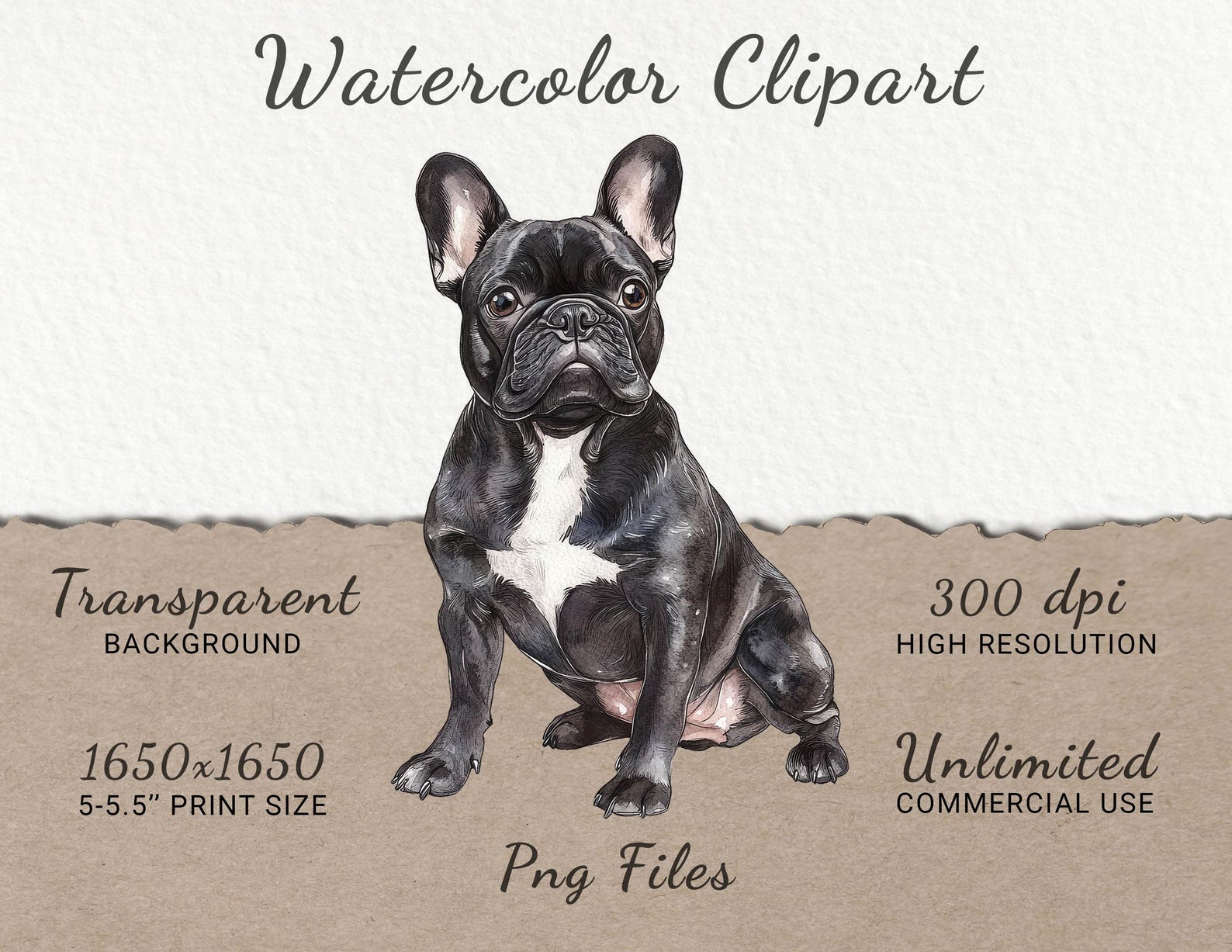 French Bulldog Watercolor Clipart - 24 PNG Cute Dog Clip Art, Dog ...