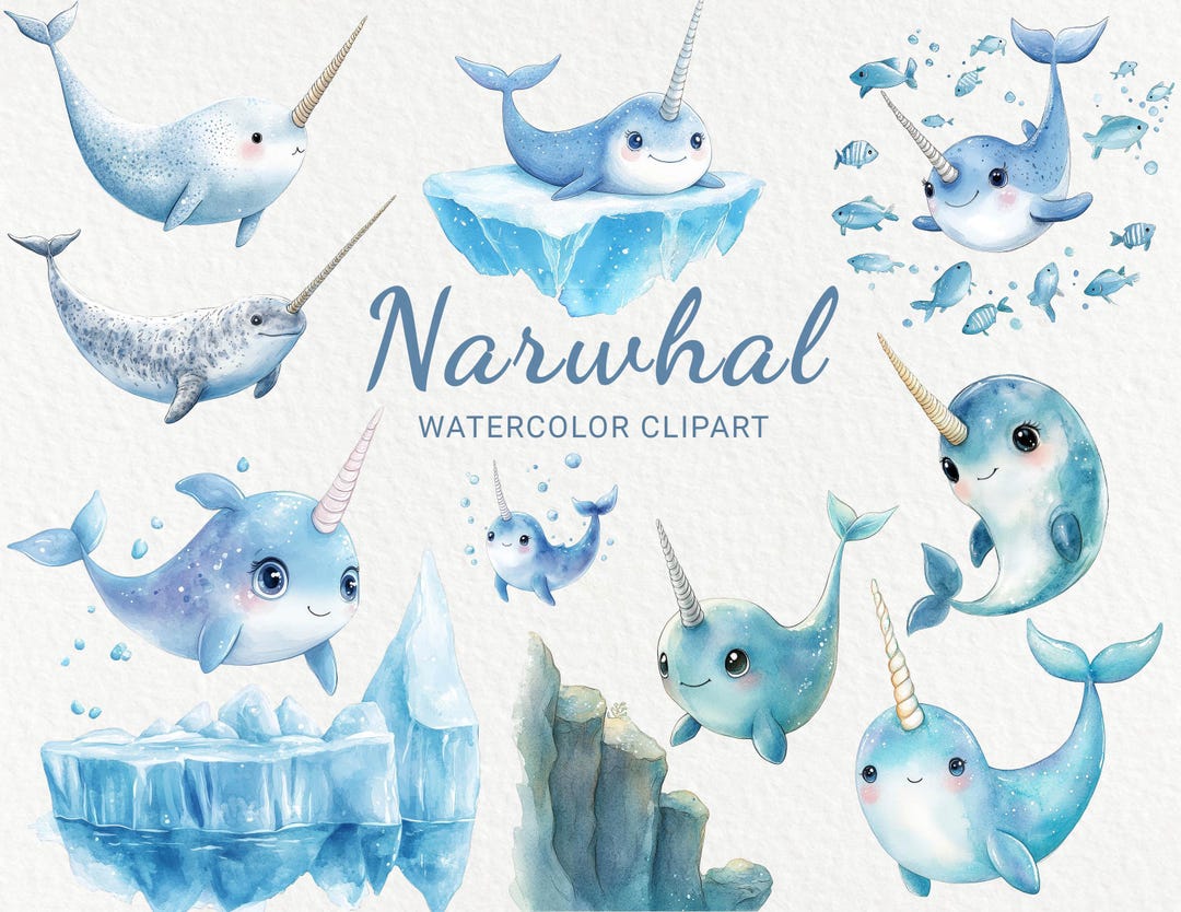 Narwhal Clipart - 24 PNG Watercolor Baby Narwhal Clip Art, Funny Sea ...