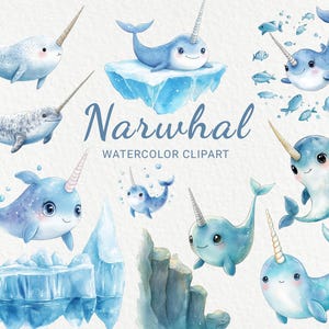 Narwhal Clipart - 24 PNG Watercolor Baby Narwhal Clip Art, Funny Sea ...