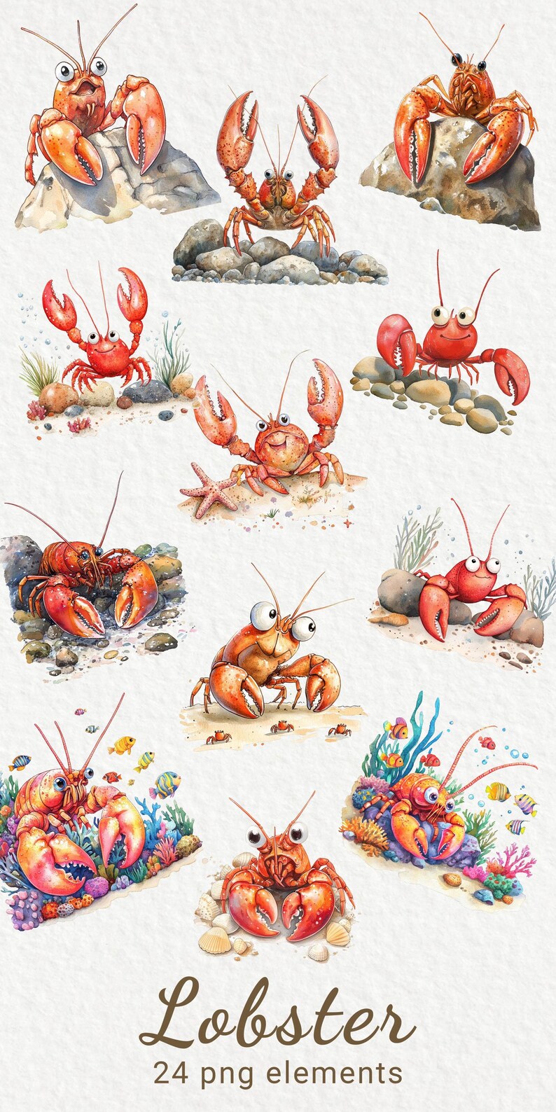 Lobster Watercolor Clipart – 24 PNG Marine Illustrations (digital ...