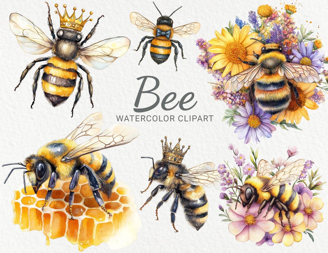 Bee Watercolor Clipart - 24 PNG Cute Insects Clip Art, Honey Bee ...