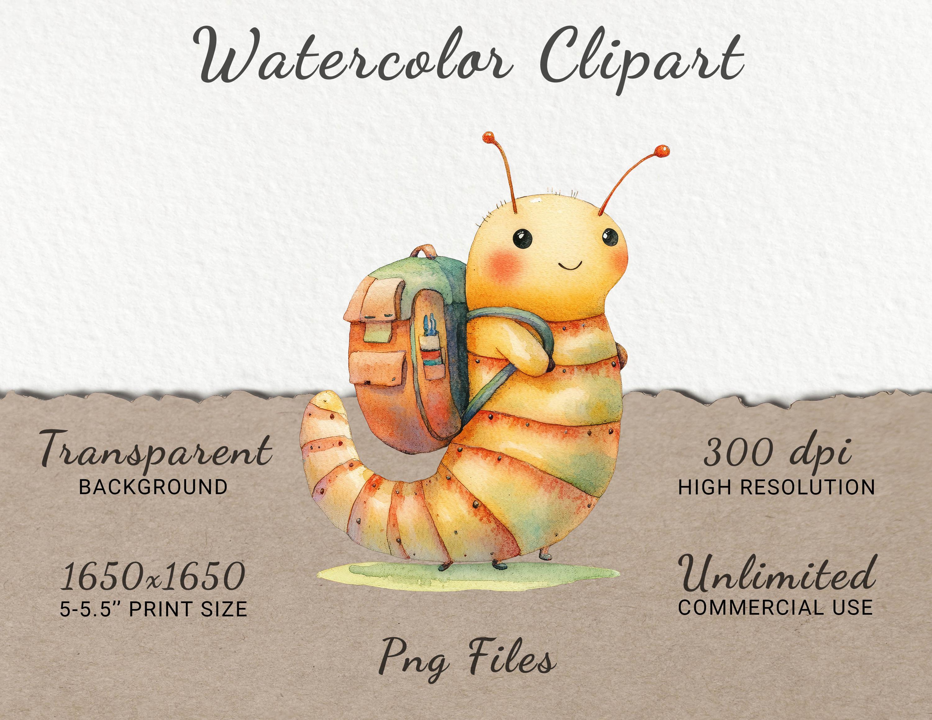 Worm Watercolor Clipart - 24 PNG Cute Insects Clip Art, Funny Worms ...