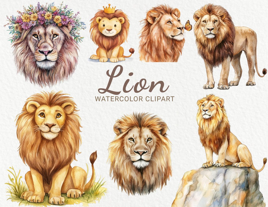 Lion Watercolor Clipart - 24 PNG Safari Animal Clip Art, Digital Prints ...