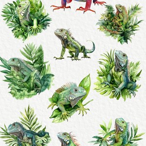 Iguana Clipart - 24 PNG Cute Watercolor Lizard Clip Art, Digital Prints ...
