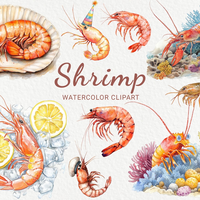Cute Shrimp Clip Art - Etsy UK