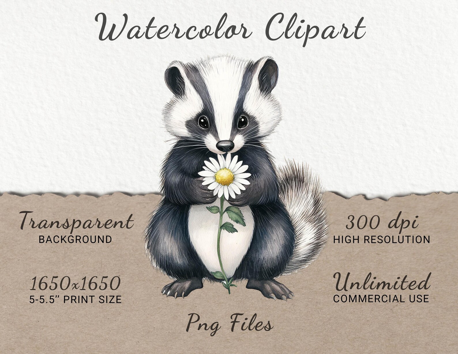 Skunk Watercolor Clipart - 24 PNG Cute Animals, Skunk Clip Art ...