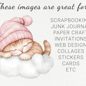 Pink Cat Nursery Watercolor Clipart - 24 PNG Cute Fairy Animals Decor ...