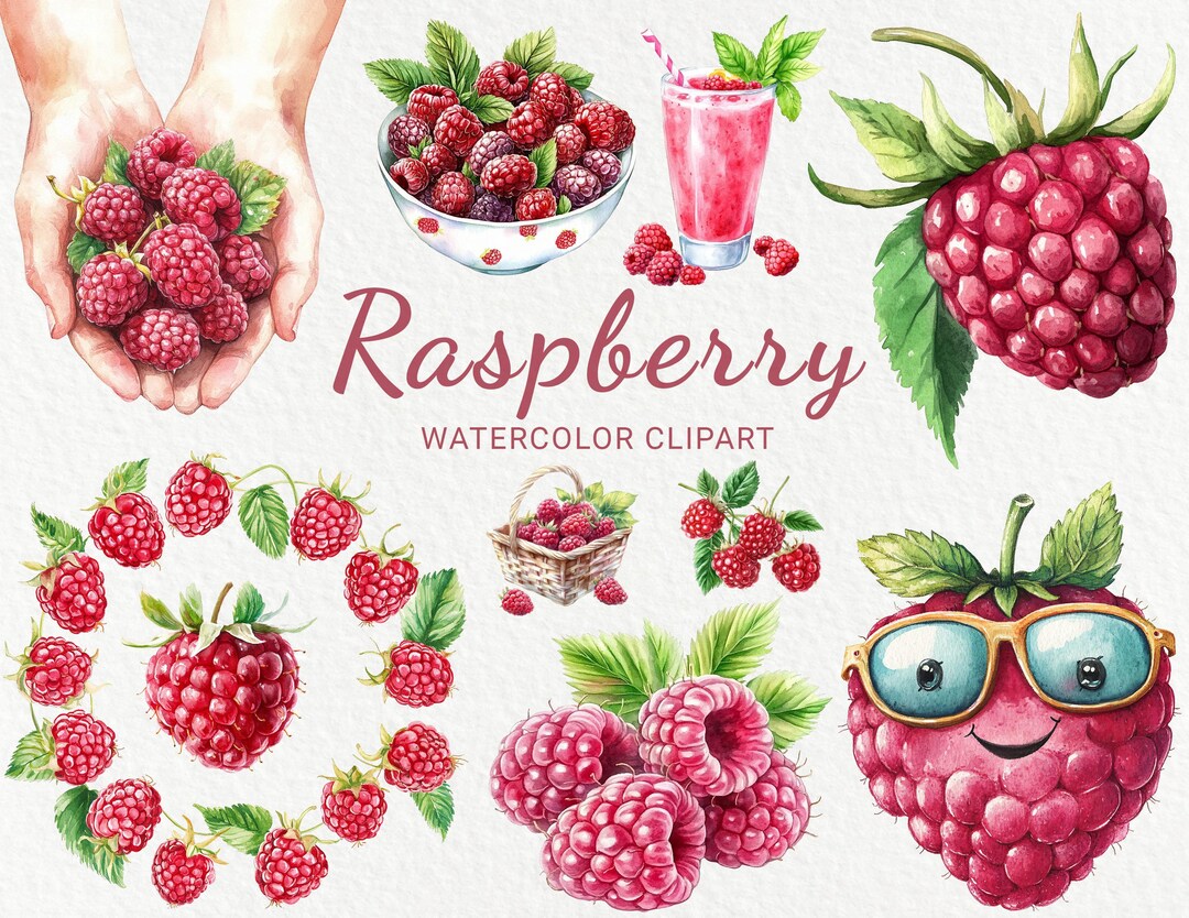 Raspberry Watercolor Clipart - 24 PNG Funny Cartoon Raspberry ...