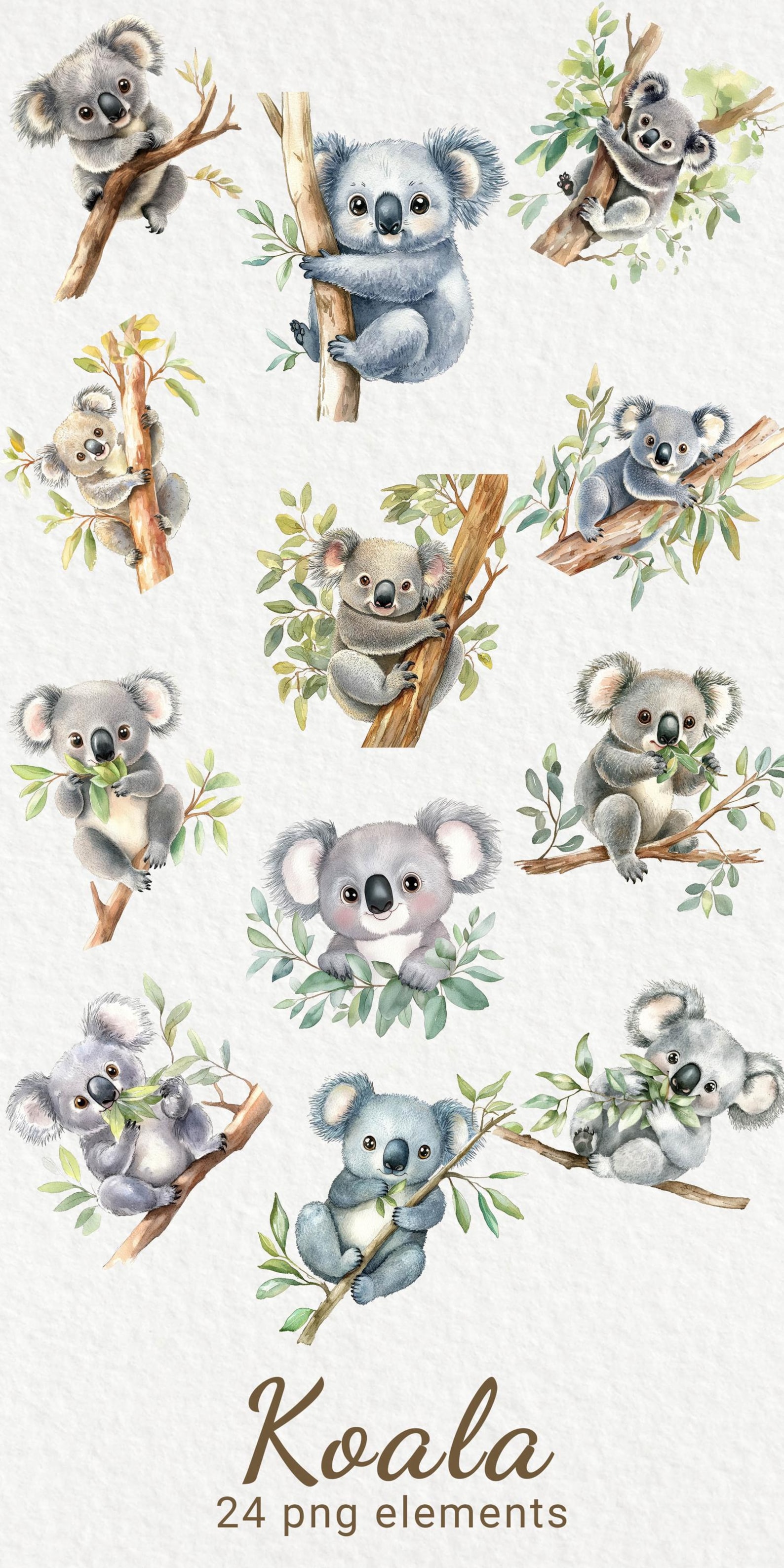 Koala Nursery Watercolor Clipart - 24 PNG Cute Koala Bear, Animals ...