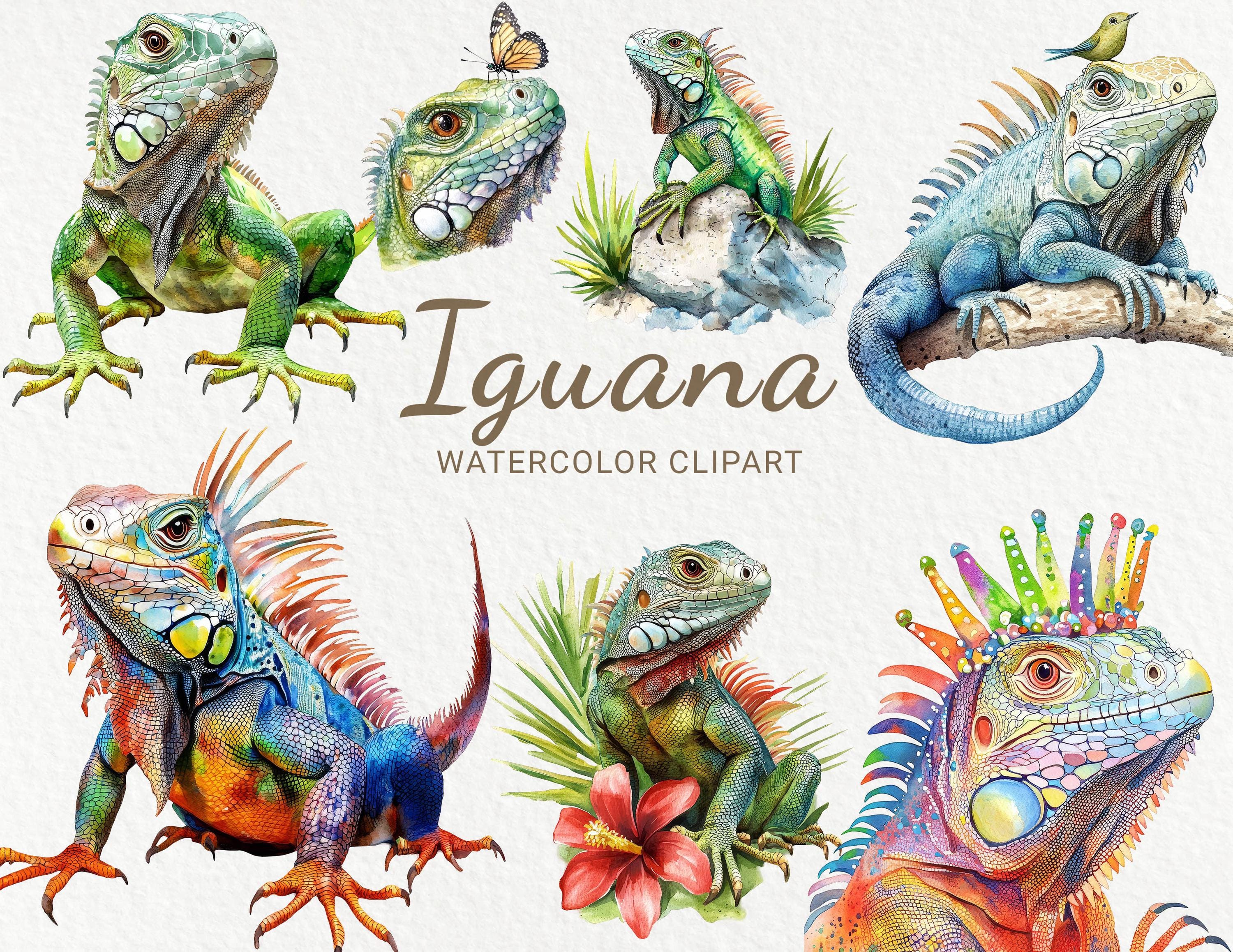 Iguana Clipart - 24 PNG Cute Watercolor Lizard Clip Art, Digital Prints ...