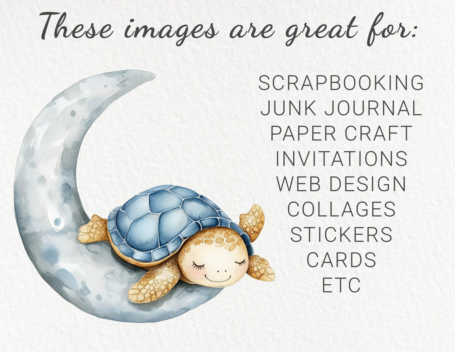 Blue Turtle Watercolor Clipart - 24 PNG Cute Turtle, Animal Decor ...