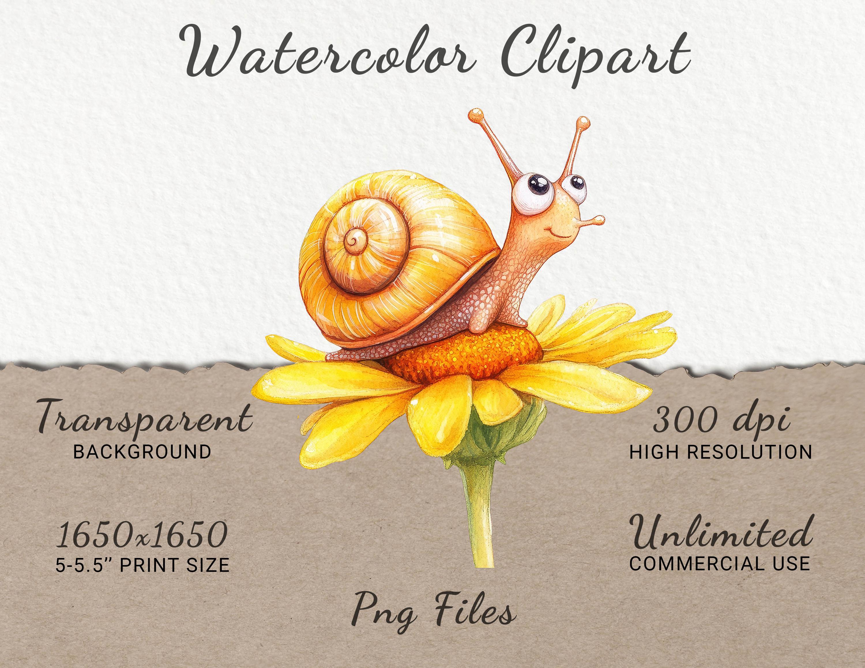 Snail Watercolor Clipart - 24 PNG Cute Snail Clip Art, Nature Clipart ...
