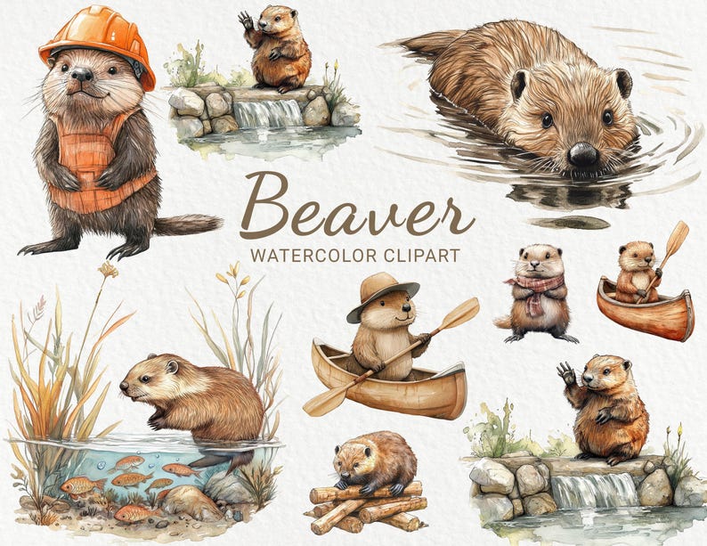 Beaver Watercolor Clipart - 24 PNG Cute Animal Clip Art, Digital Prints ...