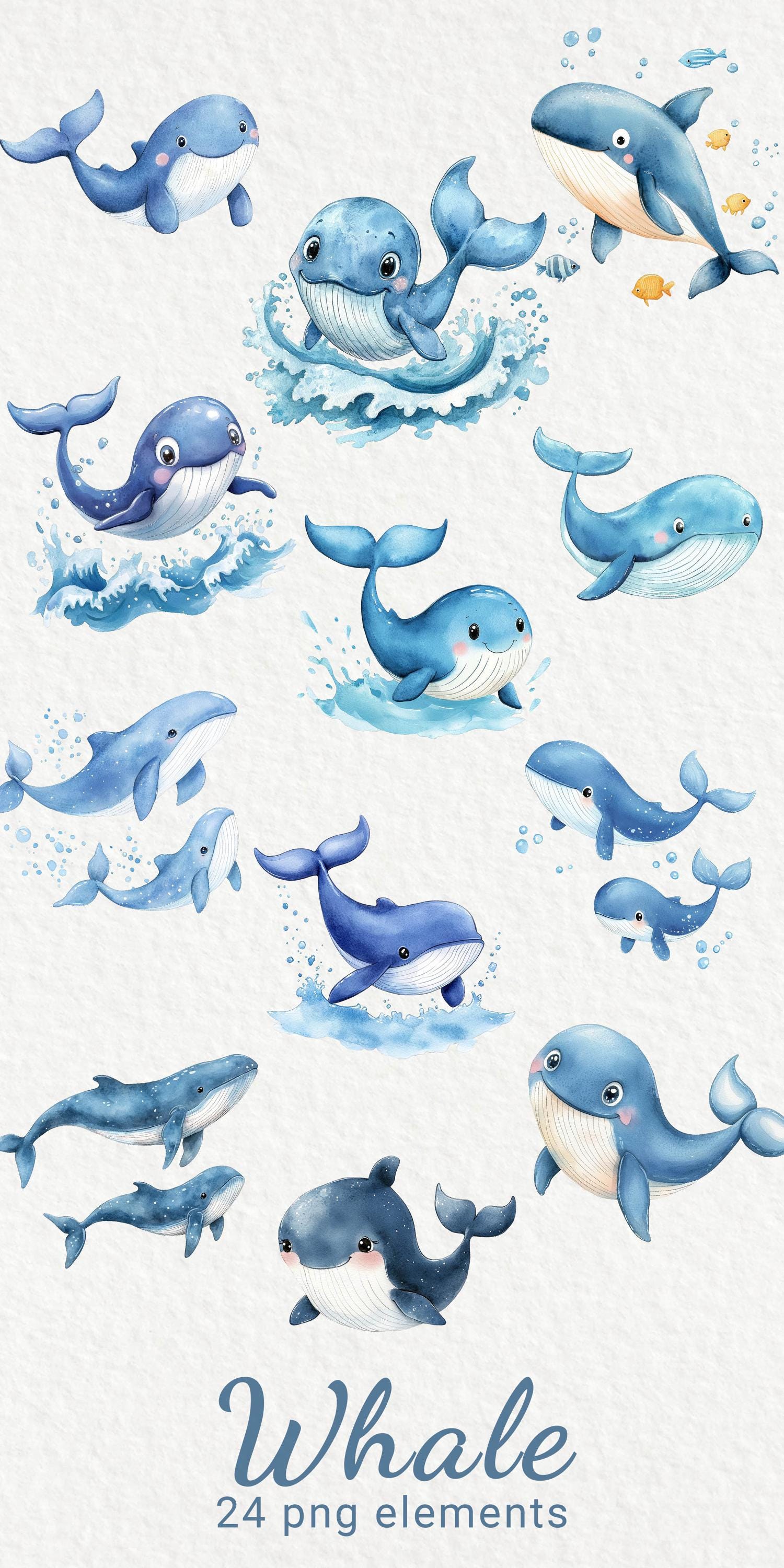 Whale Clipart - 24 PNG Cute Marine Decor Clip Art Nursery Watercolor ...