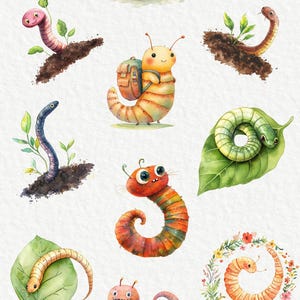 Worm Watercolor Clipart - 24 PNG Cute Insects Clip Art, Funny Worms ...