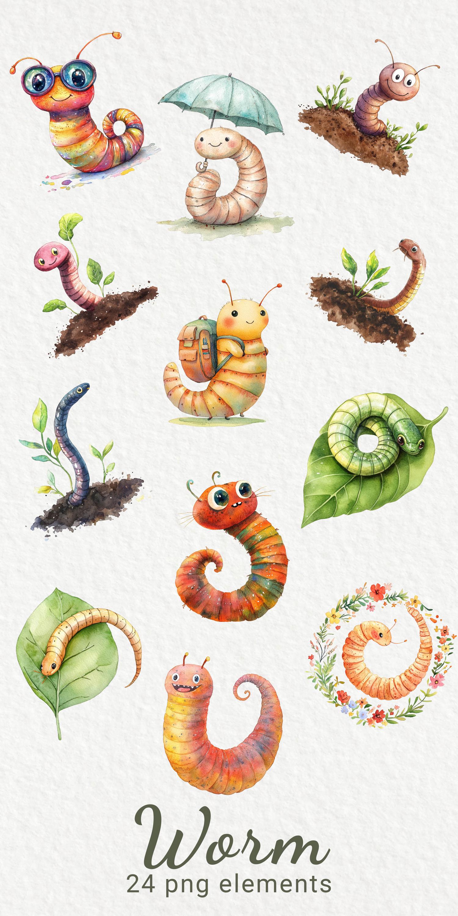 Worm Watercolor Clipart - 24 PNG Cute Insects Clip Art, Funny Worms ...
