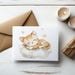 Cat Nursery Watercolor Clipart - 24 PNG Cute Fairy Animals Decor in ...