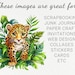 Leopard Clipart - 24 PNG Watercolor Safari Animal Clip Art, Digital ...