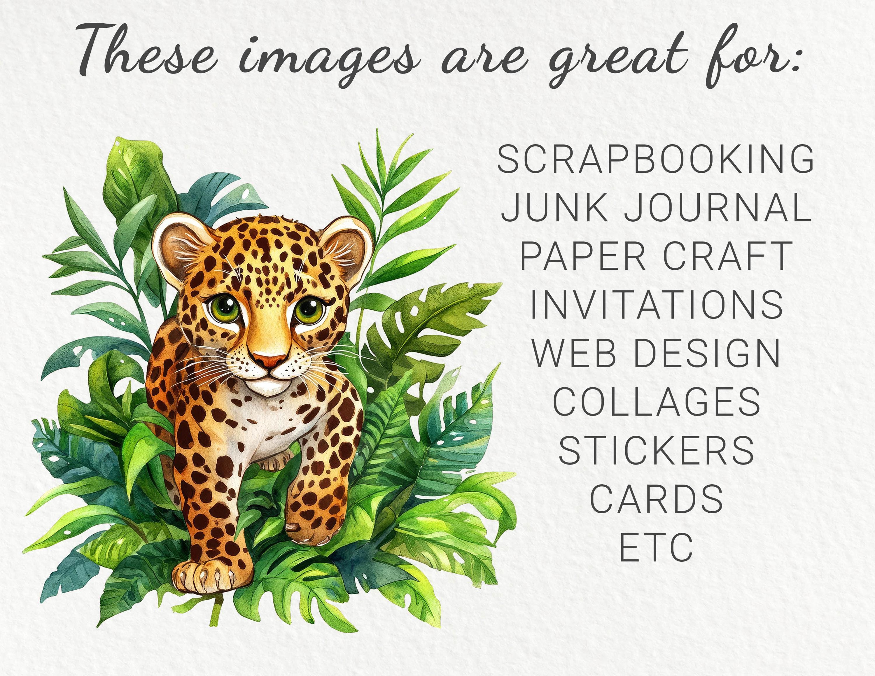 Leopard Clipart - 24 PNG Watercolor Safari Animal Clip Art, Digital ...