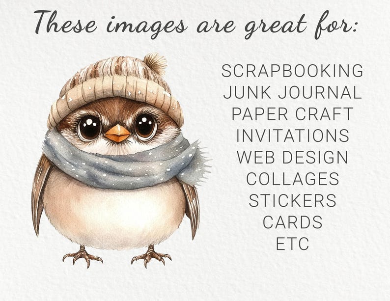 Watercolor Sparrow Clipart – 24 PNG Bird Illustrations (digital ...