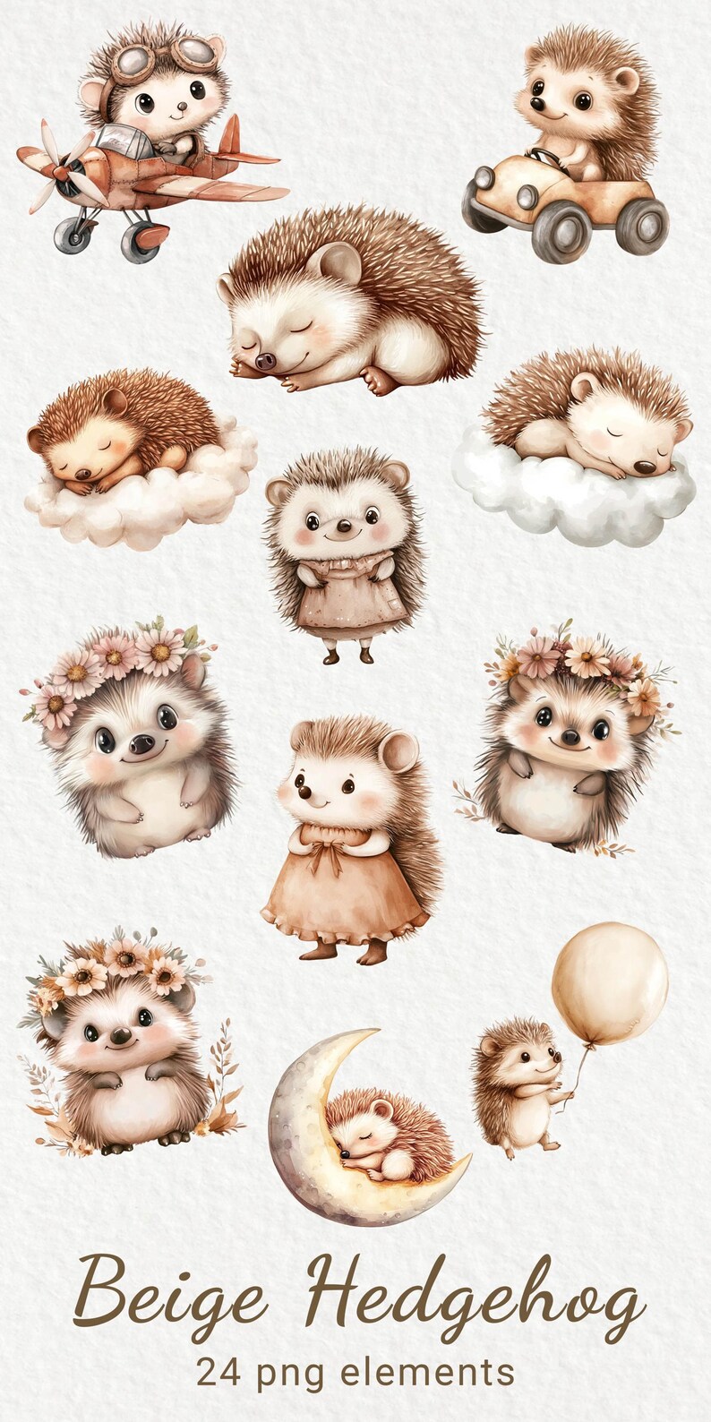 Hedgehog Nursery Watercolor Clipart - 24 PNG Cute Fairy Woodland ...