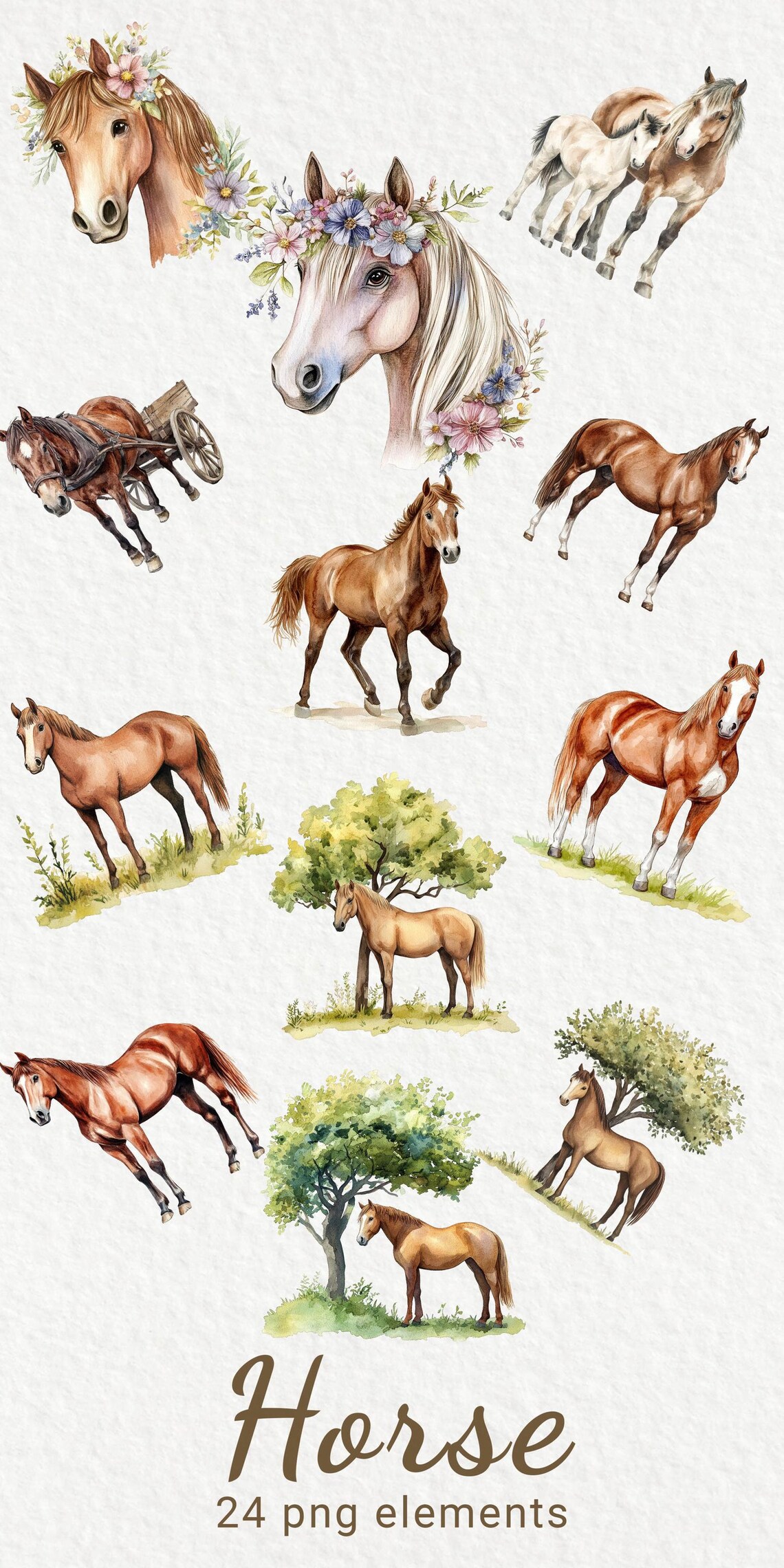 Horse Watercolor Clipart - 24 PNG Cute Animal Clip Art, Farm Animals ...
