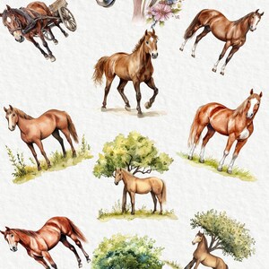 Horse Watercolor Clipart - 24 PNG Cute Animal Clip Art, Farm Animals ...