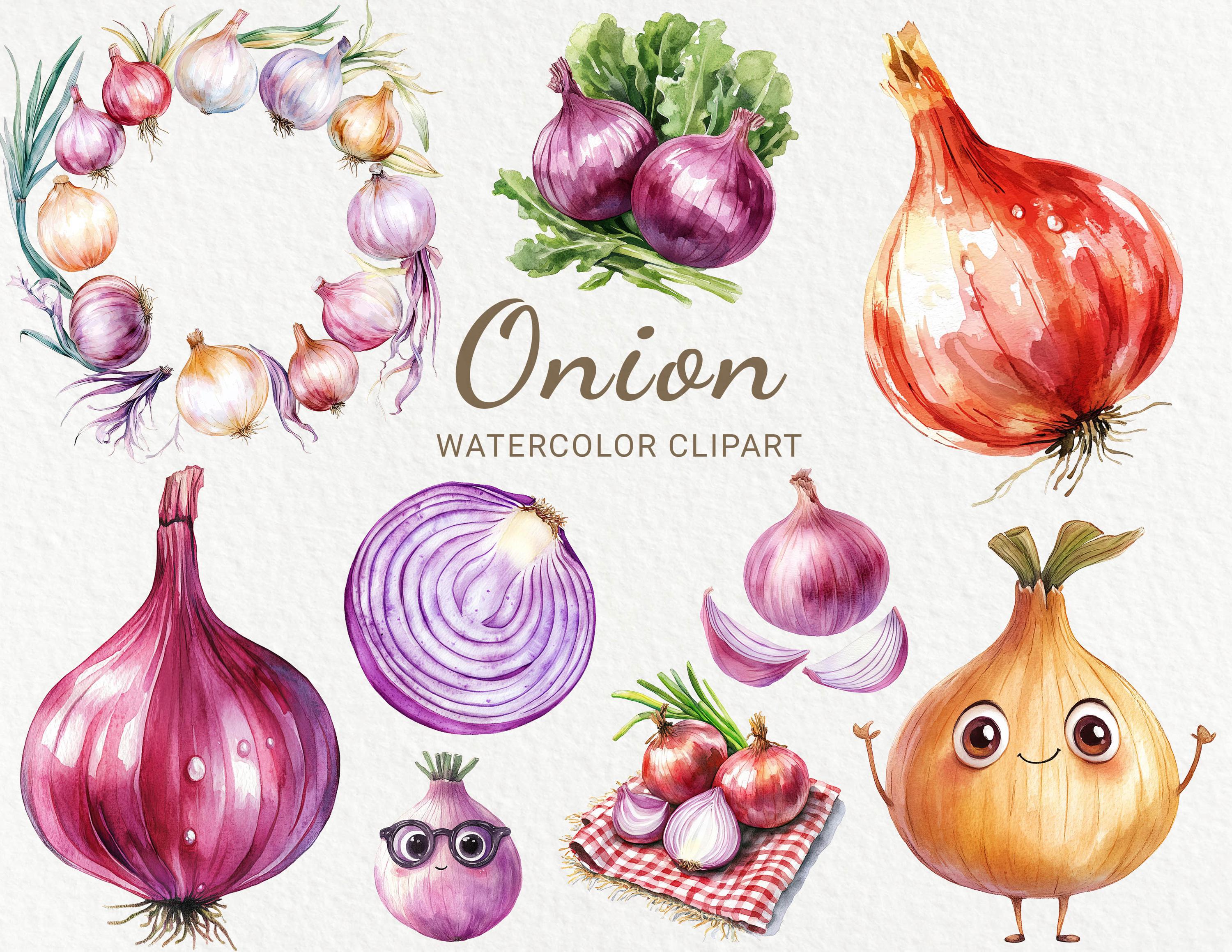 Onion Watercolor Clipart - 24 PNG Funny Onion Illustration, Cool Chibi ...