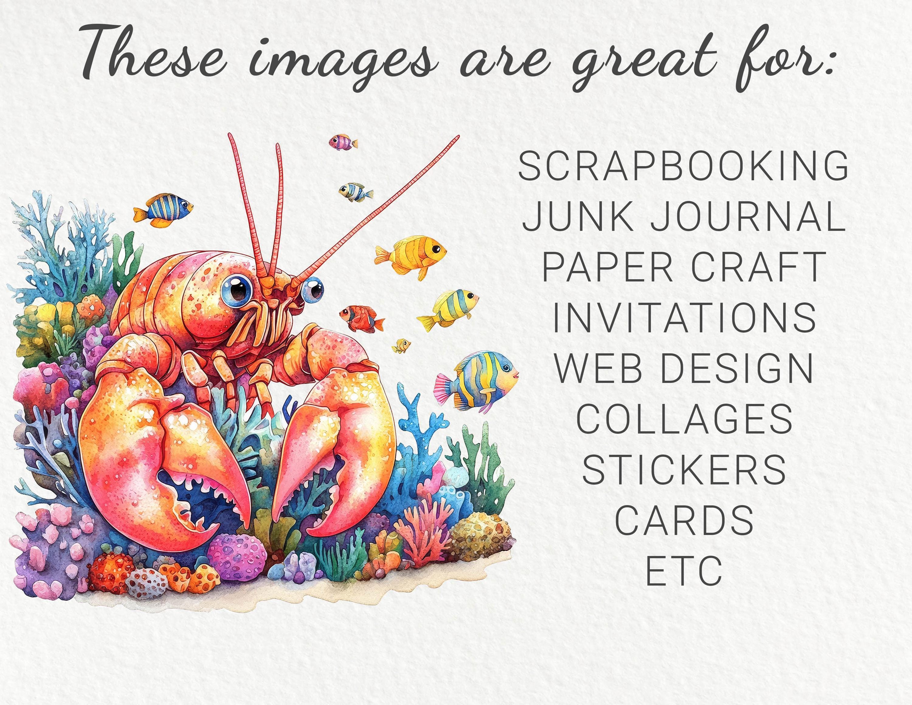 Lobster Watercolor Clipart – 24 PNG Marine Illustrations (digital ...