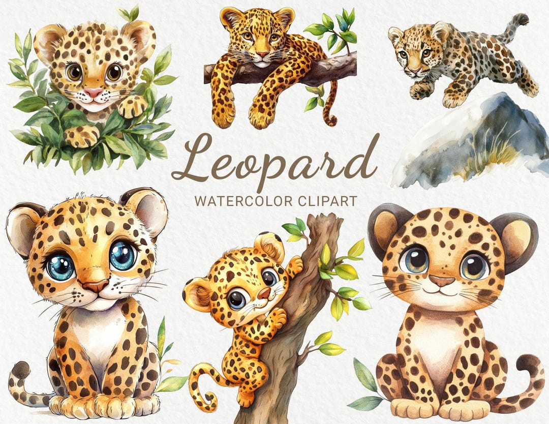 Leopard Clipart - 24 PNG Watercolor Safari Animal Clip Art, Digital ...