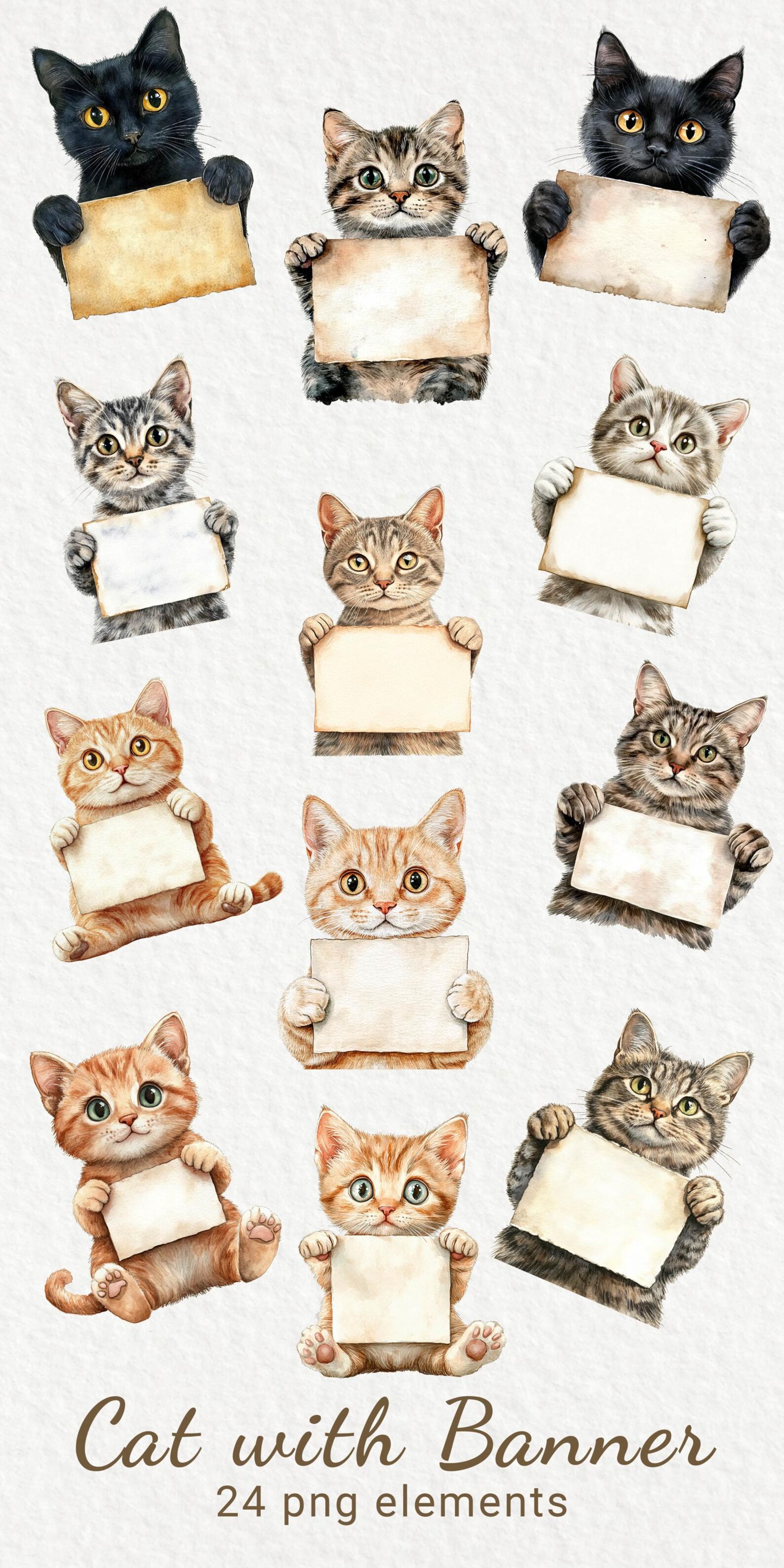 Cats With a Blank Sign Clipart - 24 PNG Watercolor Cat Clipart, Write ...
