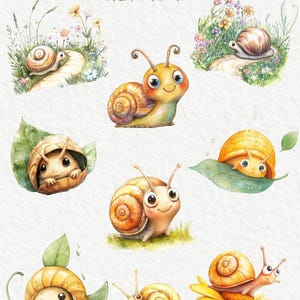 Snail Watercolor Clipart - 24 PNG Cute Snail Clip Art, Nature Clipart ...