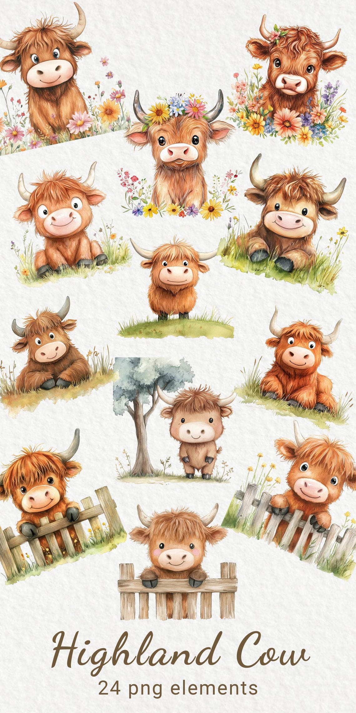 Highland Cow Clipart - 24 PNG Watercolor Baby Highland Cow Clip Art ...