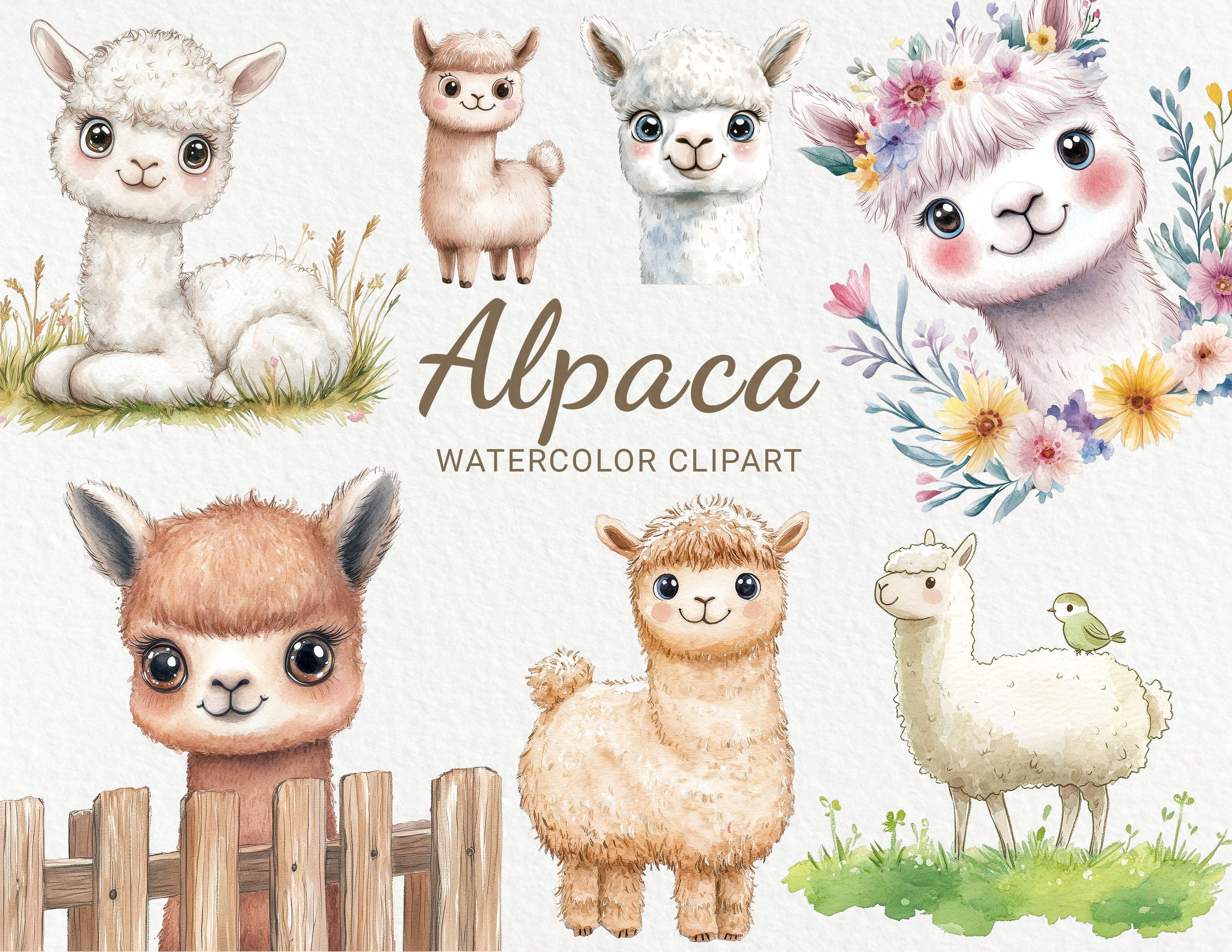 Watercolor Baby Alpaca Clipart – Farm Animal PNG Images (digital ...