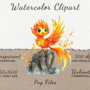 Phoenix Watercolor Clipart - 24 PNG Fairy Mythical Birds Images ...